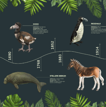 Infographic and Memory Play about Endangered & Extinct Animals - Kim ...