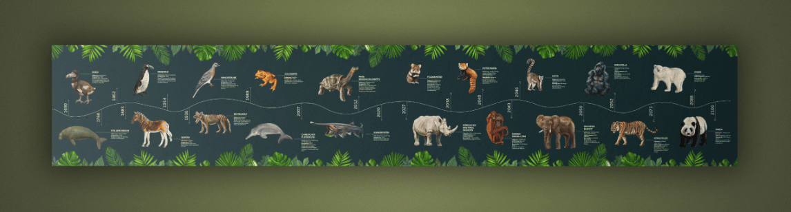 Infographic and Memory Play about Endangered & Extinct Animals - Kim ...
