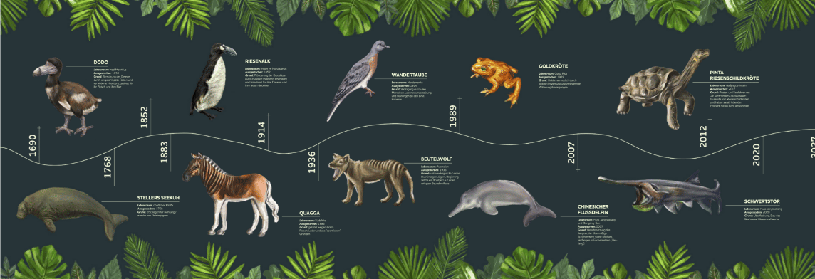 Infographic and Memory Play about Endangered & Extinct Animals - Kim ...