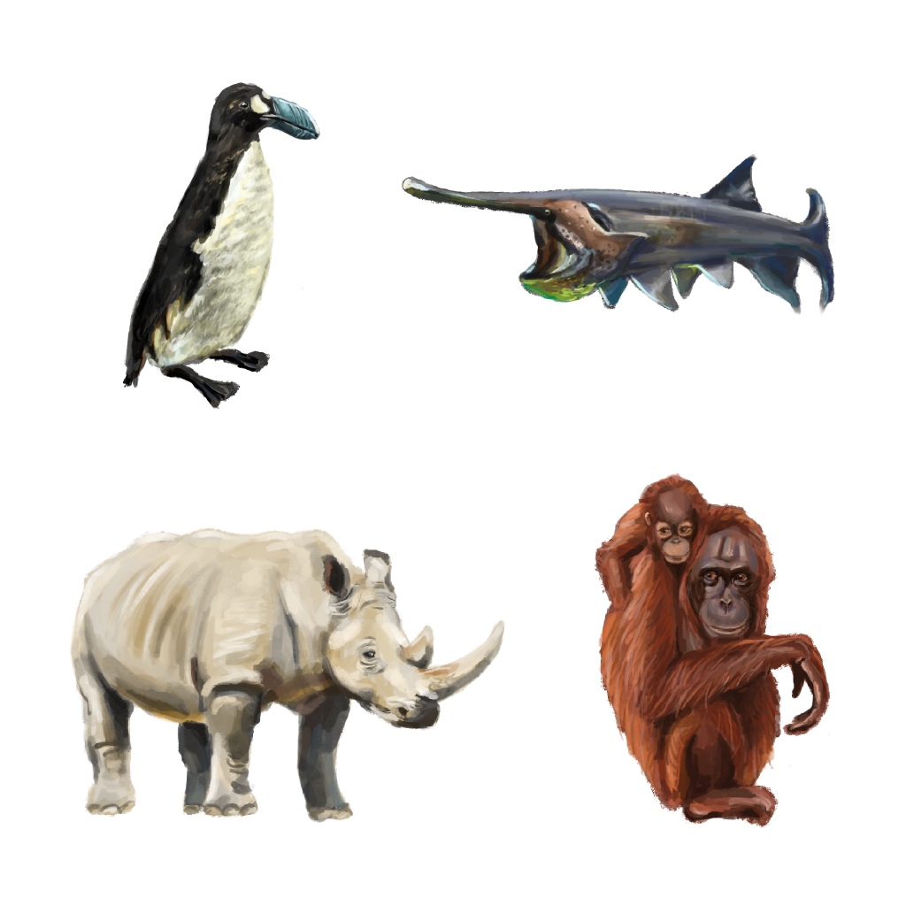 Endangered & Extinct Animals - Kim Kieffer