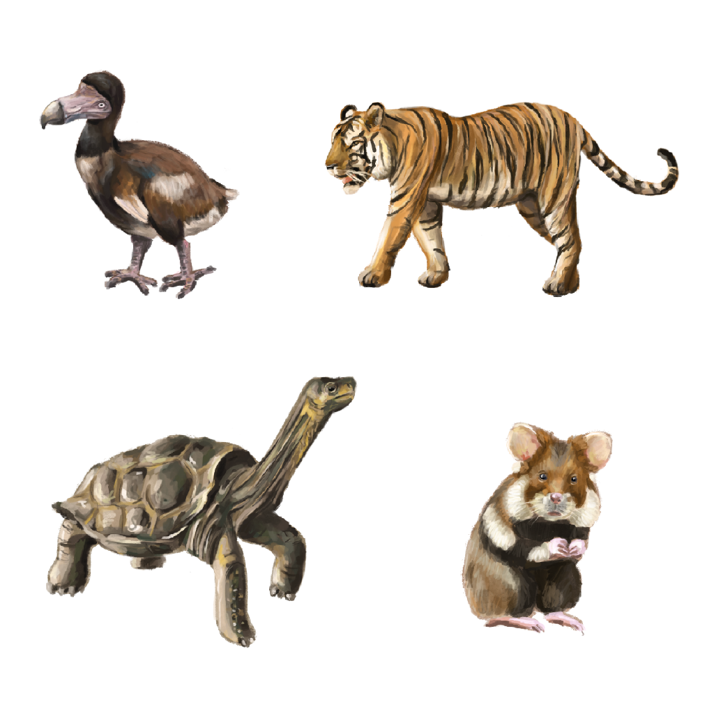 Endangered & Extinct Animals - Kim Kieffer